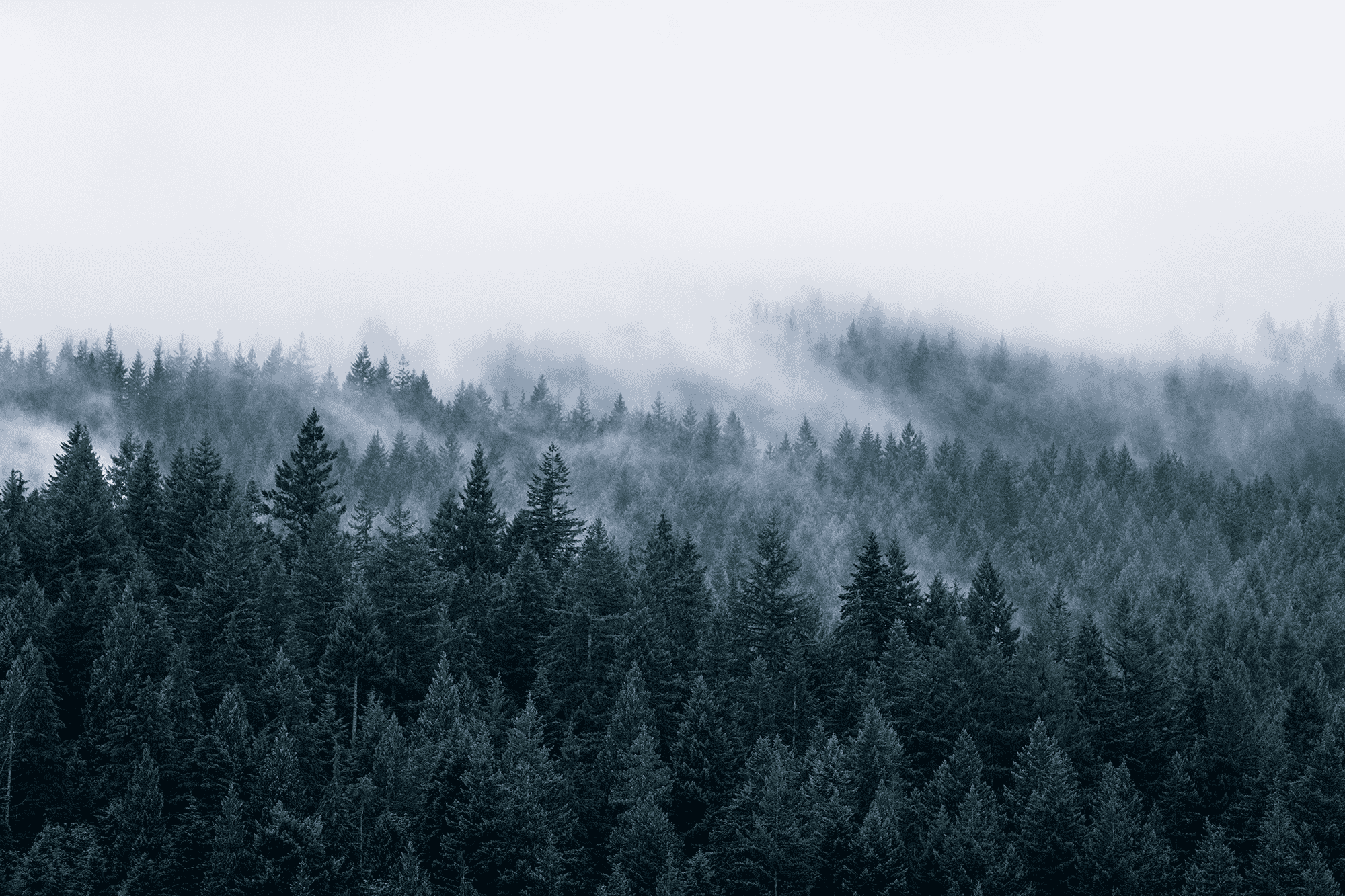 North Shore Bike Shop | Mountain Bike Experts